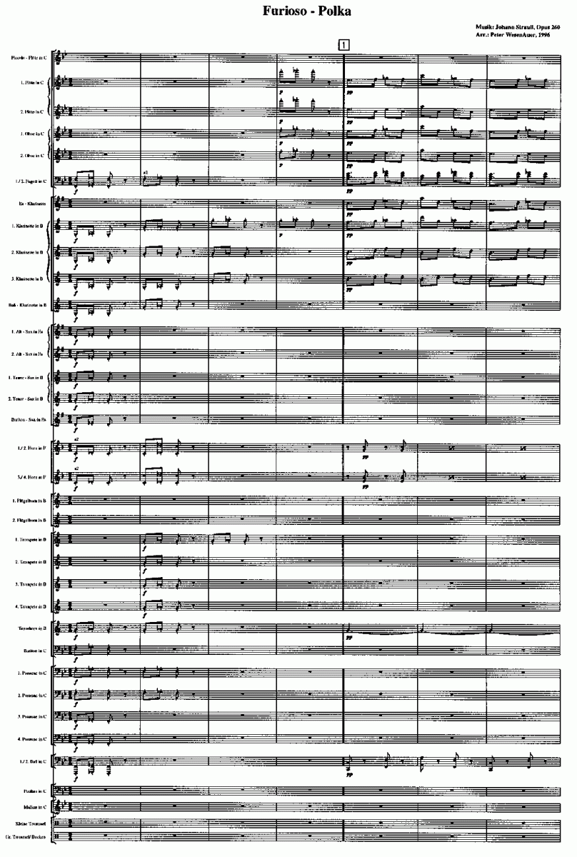 MusicaInfo.net/details/Furioso-Polka (9263110)